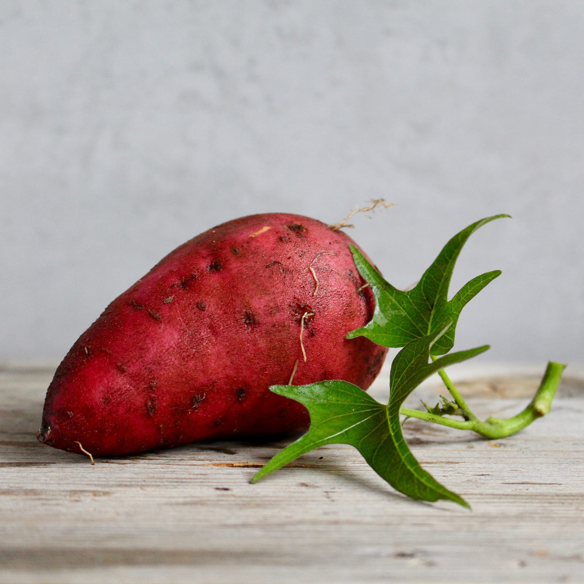 patate-douce | Les Jardins de Castelnau Organic Food